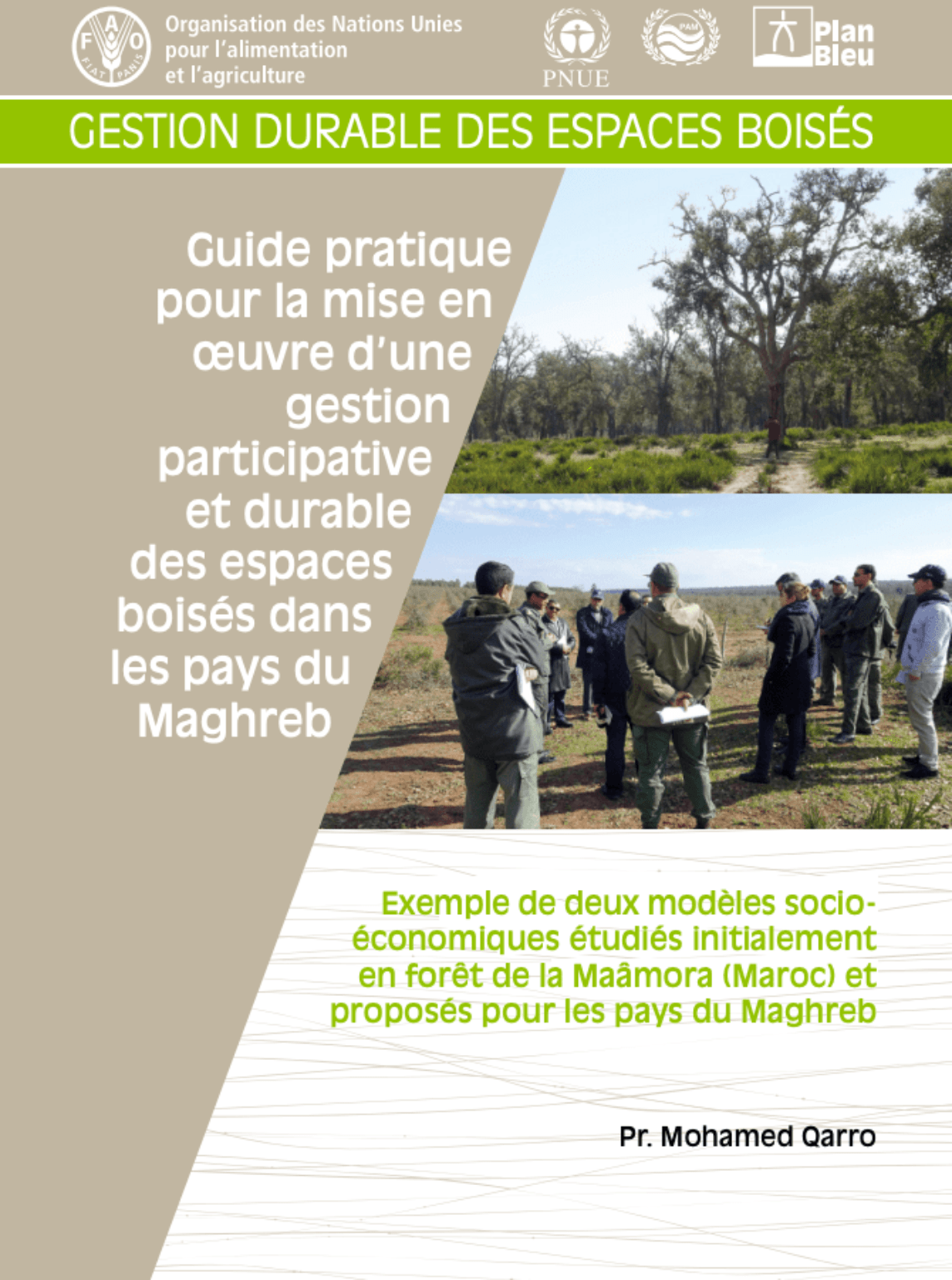 Guide pratique pour la mise en oeuvre d’une gestion participative et durable des espaces boisés ...