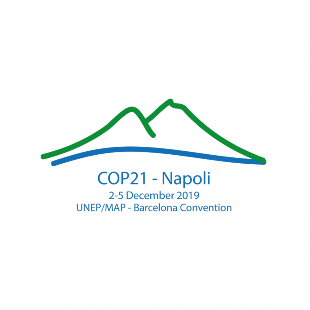 Barcelona Convention - COP 21 - Plan-bleu : Environnement et ...