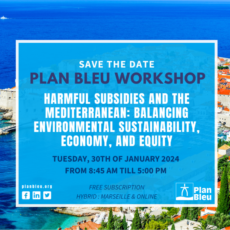 Plan Bleu Workshop : Harmful Subsidies and the Mediterranean: Balancing ...