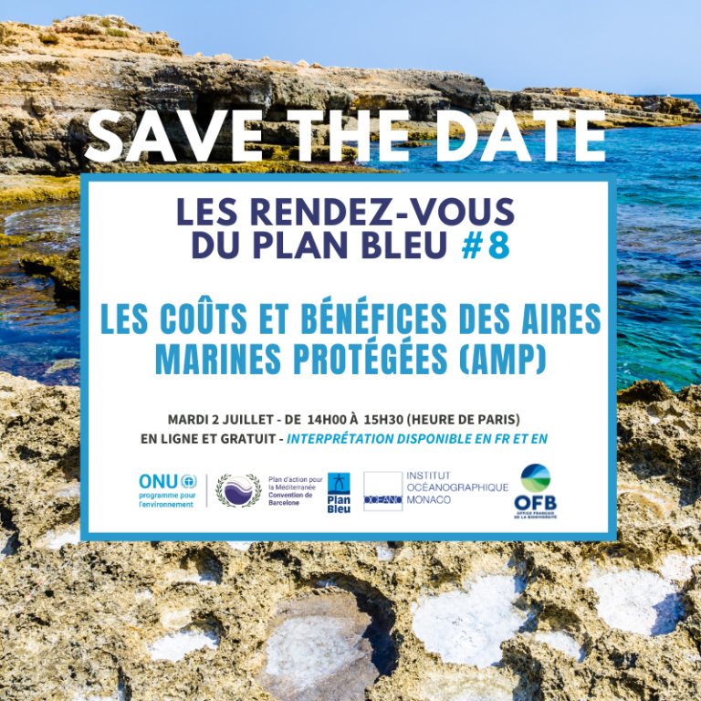 Recommandations pour améliorer l'énergie éolienne offshore en mer ...